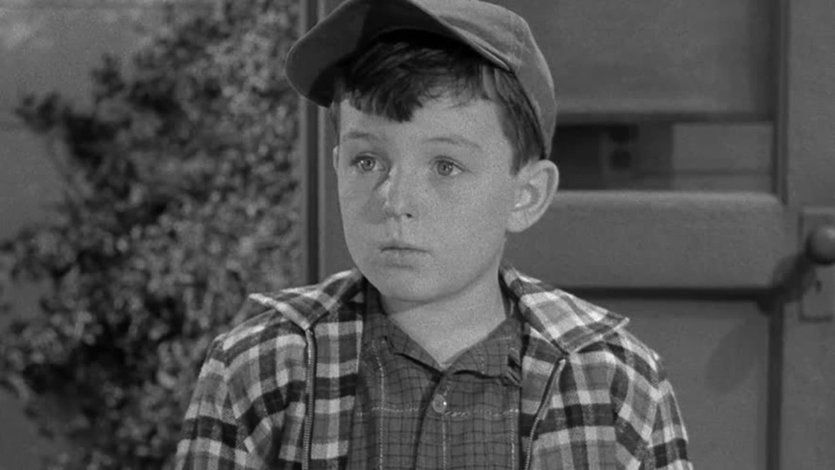 Buddy Hart Leave It To Beaver