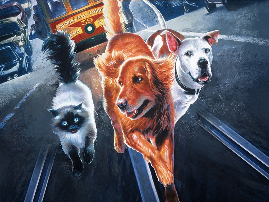 Homeward Bound II: Lost in San Francisco | Apple TV