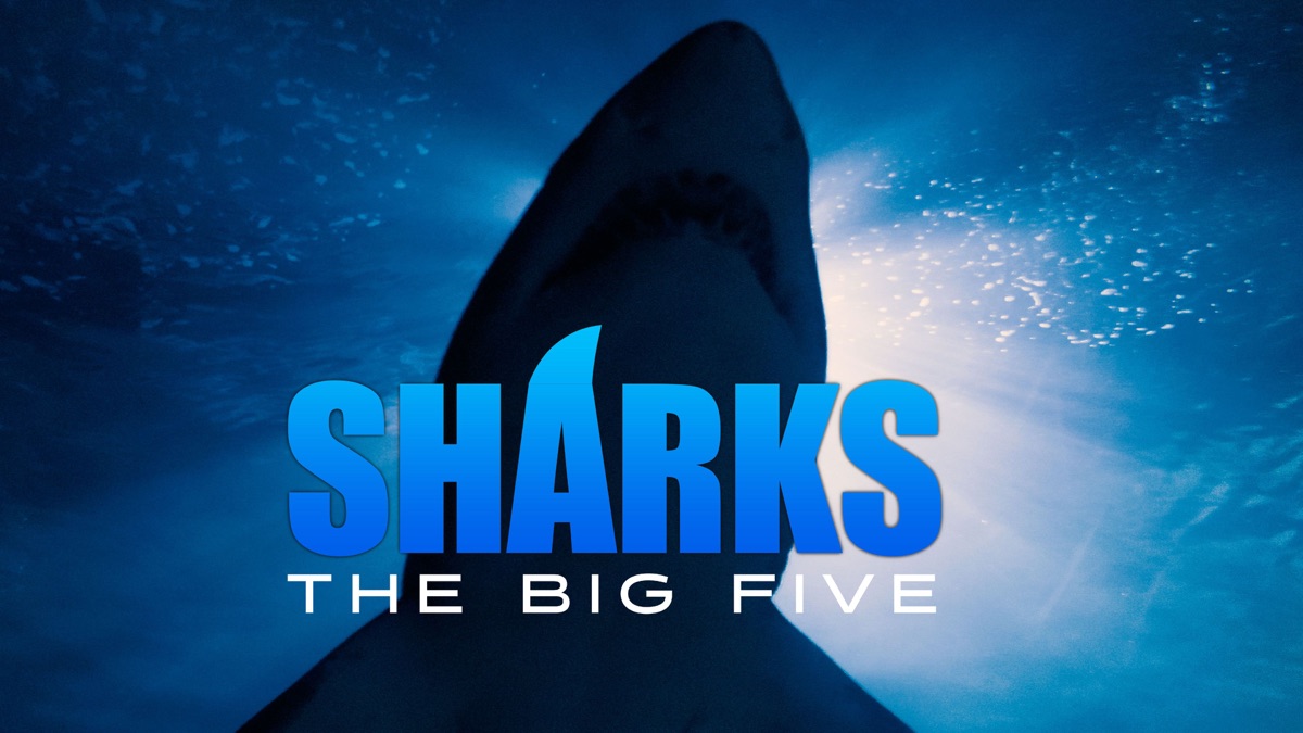 Sharks: The Big Five | Apple TV (UK)