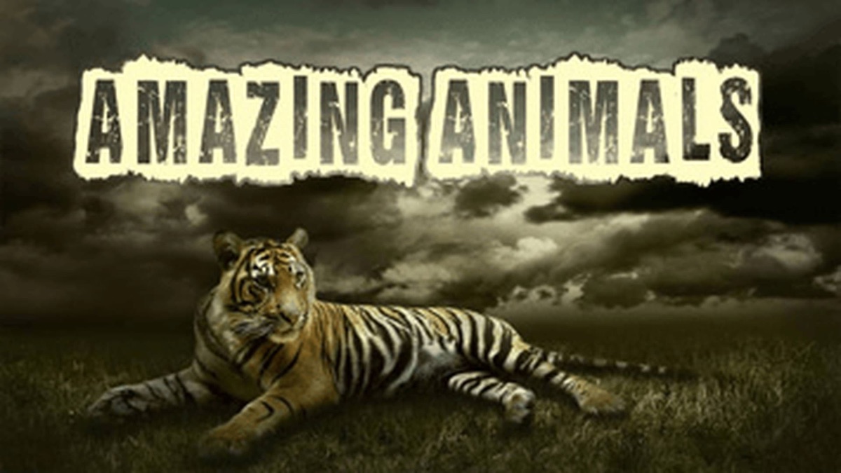 Amazing Animals | Apple TV (AU)
