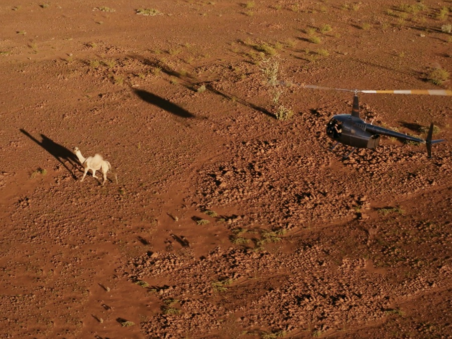 Desert Vet - Apple TV (AU)