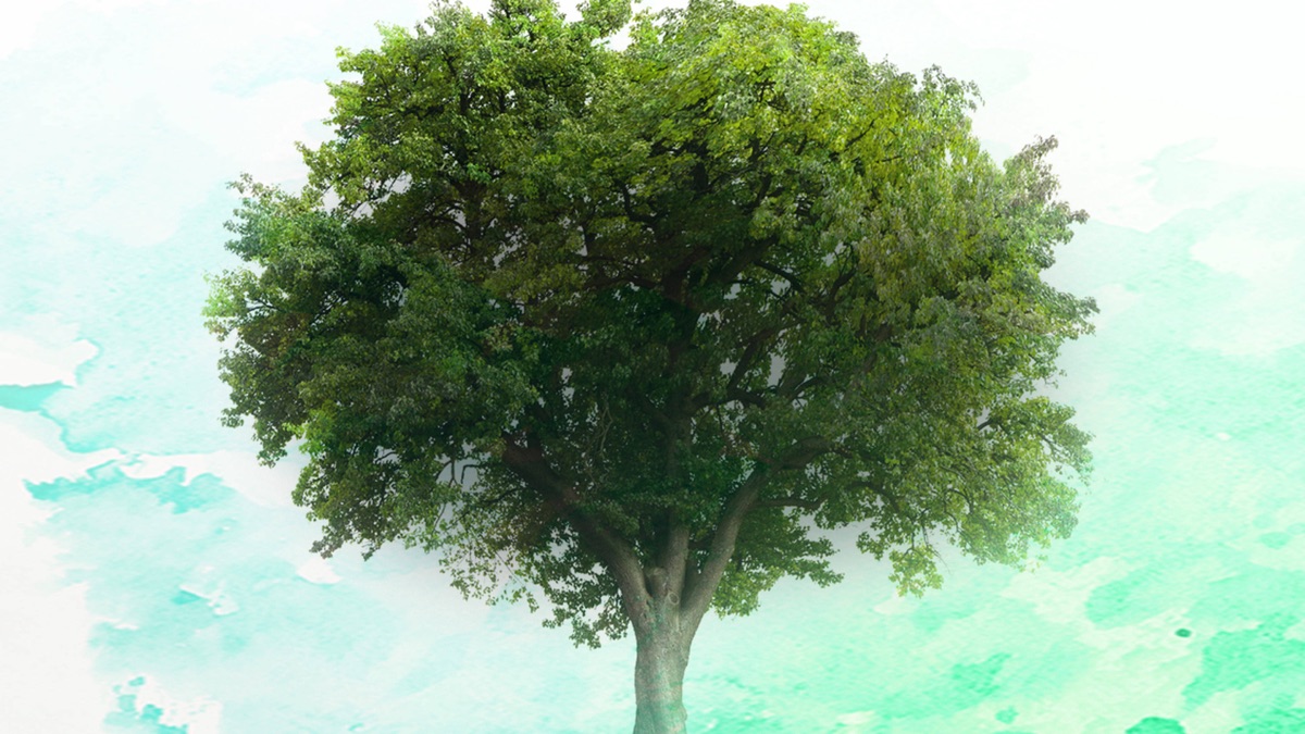 Ruta Ancestral | Apple TV (MX)