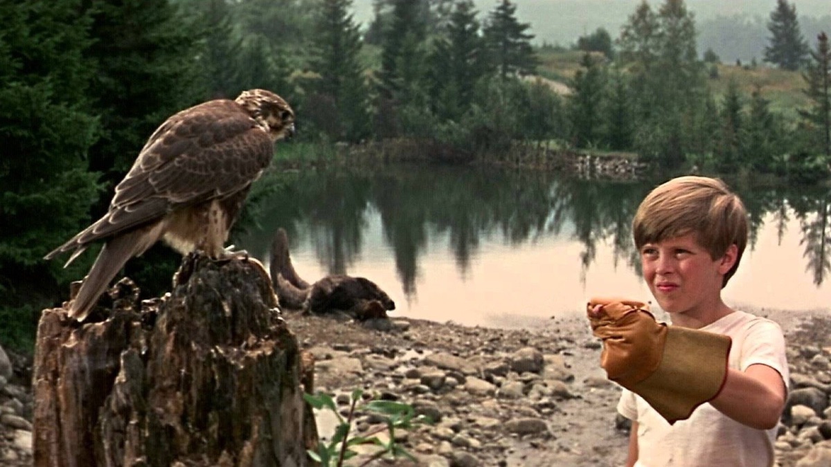 My Side of the Mountain | Apple TV (uk)