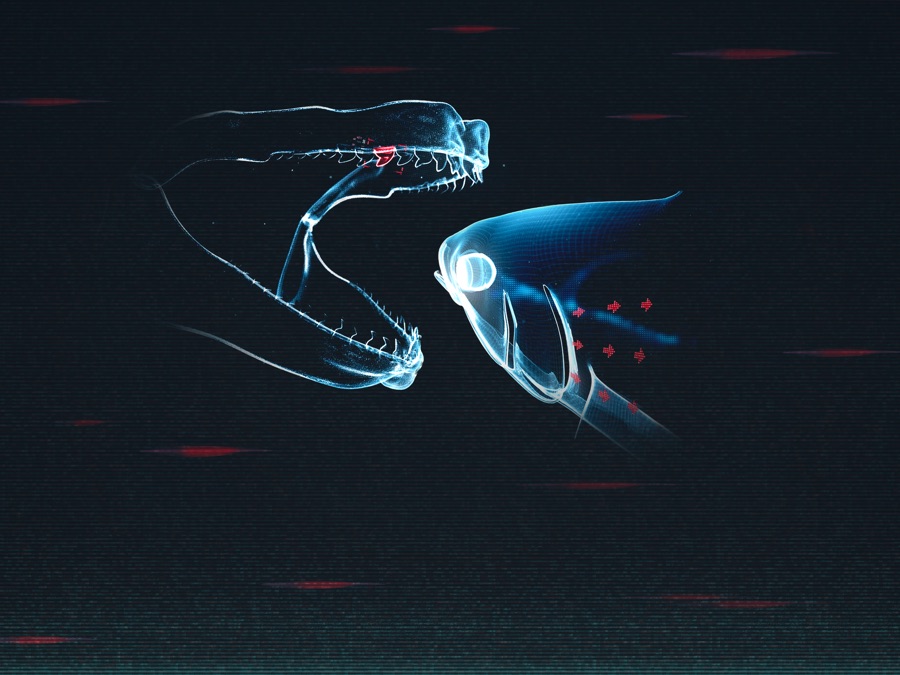 Shark Vs. Tuna | Apple TV